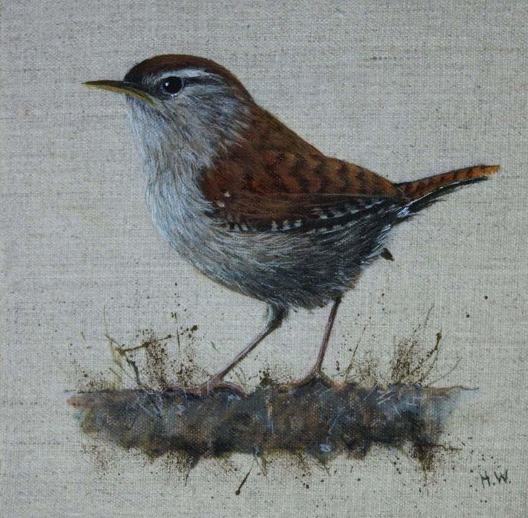 Helen Welsh - Wren structuré - Peinture réaliste d'Hélène Welsh en ...