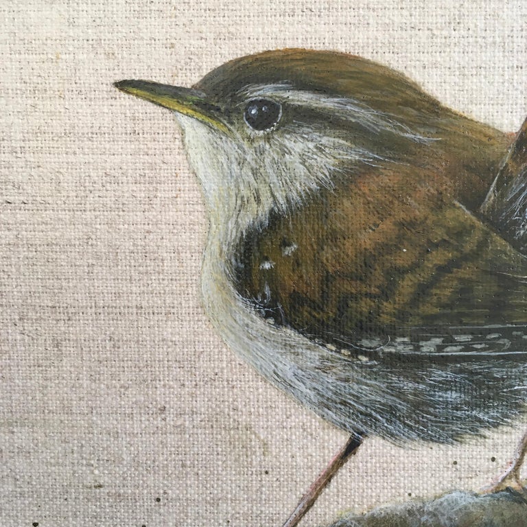 Helen Welsh - Wren On Branch - Peinture réaliste d'Hélène Welsh en ...