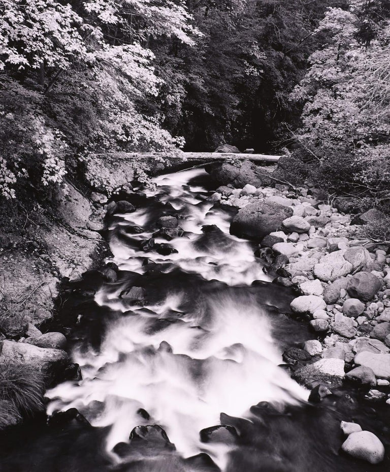 Henry Gilpin - Deer Creek, Long Exposure Water For Sale at 1stDibs