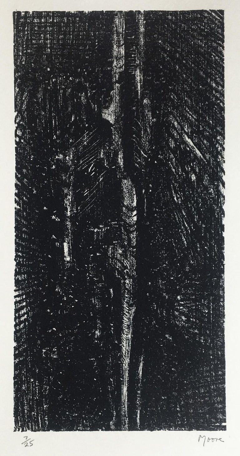 Henry Moore - Split Stone: abstract drawing based on Auden poetry and ...