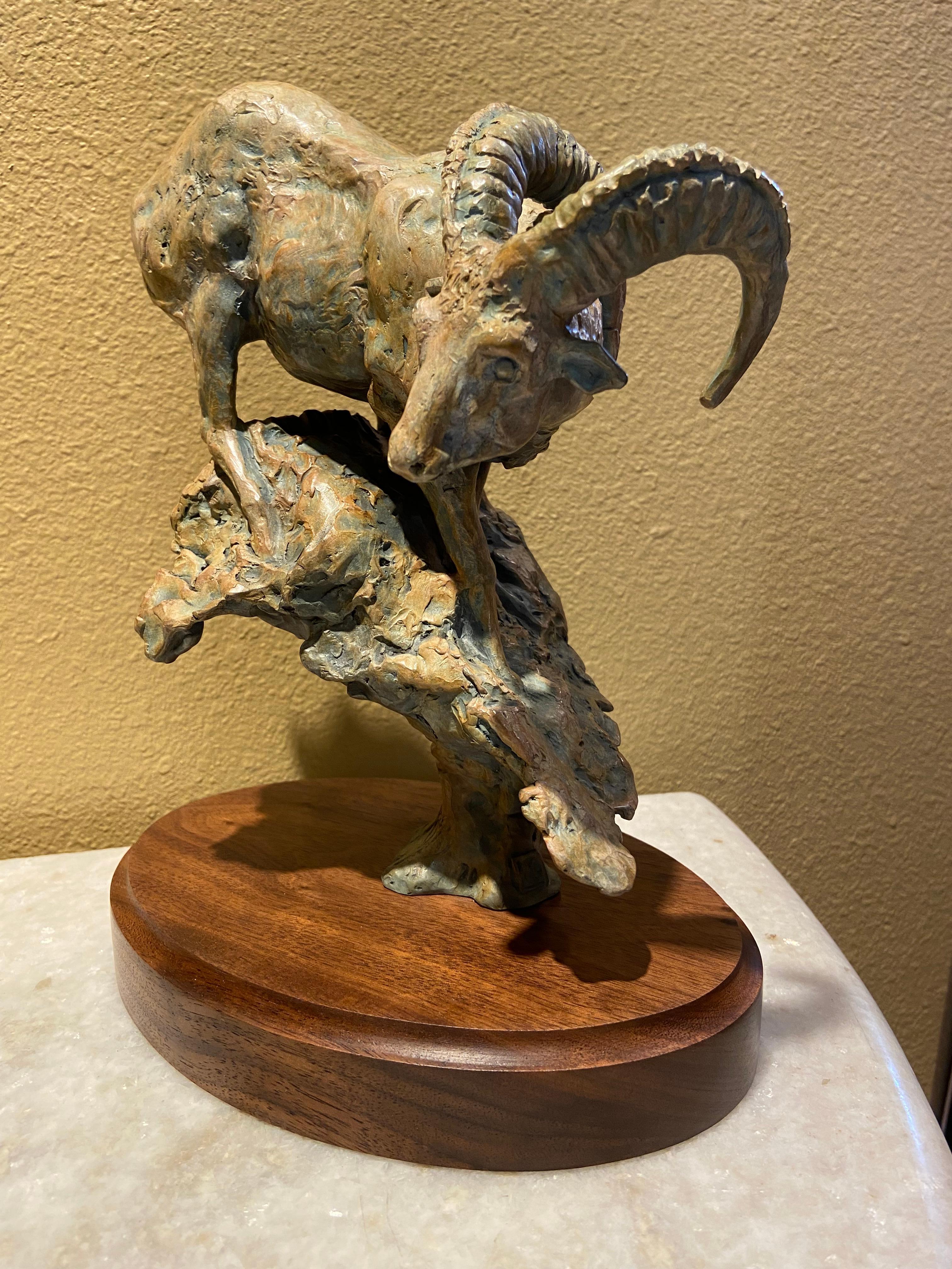 Still-life Sculptures at 1stDibs | glass bag of water, chris morling ...