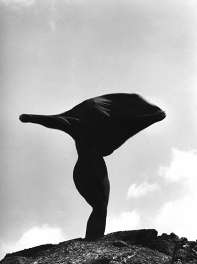 Herb Ritts Art - 13 For Sale at 1stDibs