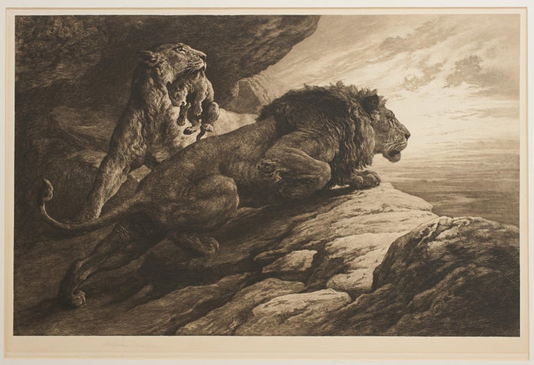 Herbert Dicksee Lion Etching, 'The Alarm' at 1stDibs