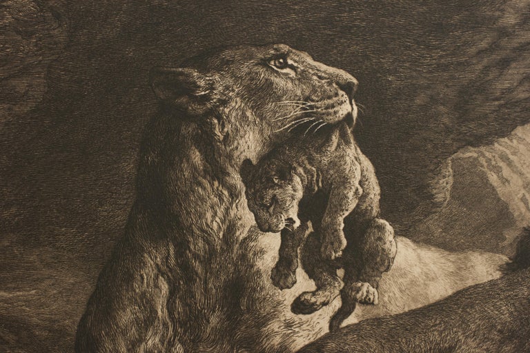 Herbert Dicksee Lion Etching, 'The Alarm' at 1stDibs