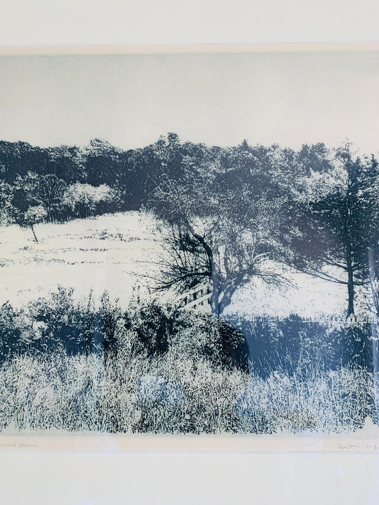 Herbert Fink, "Annies Garden, Etching" on Paper, 1979 at 1stDibs