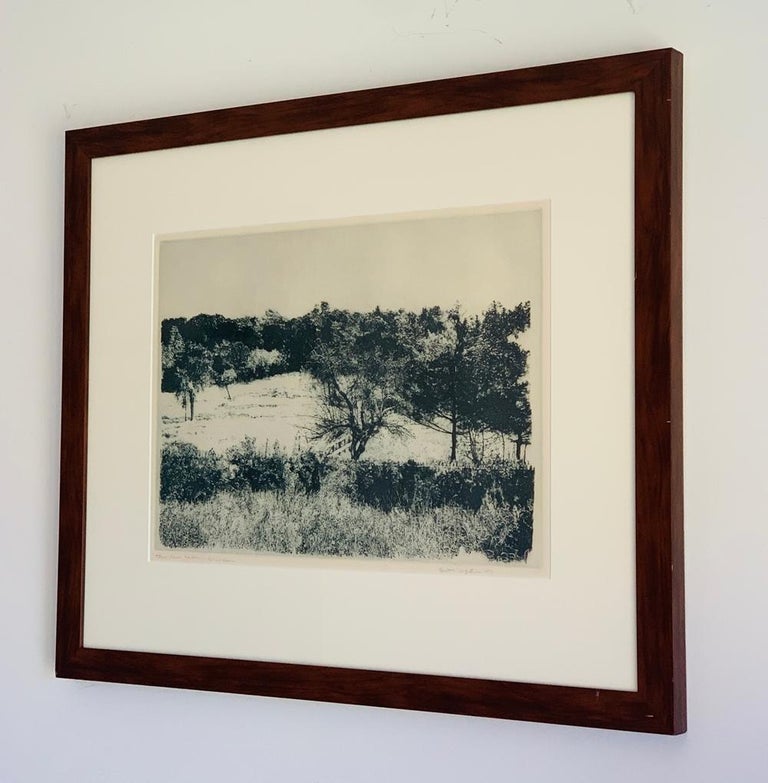 Herbert Fink, "Annies Garden, Etching" on Paper, 1979 at 1stDibs