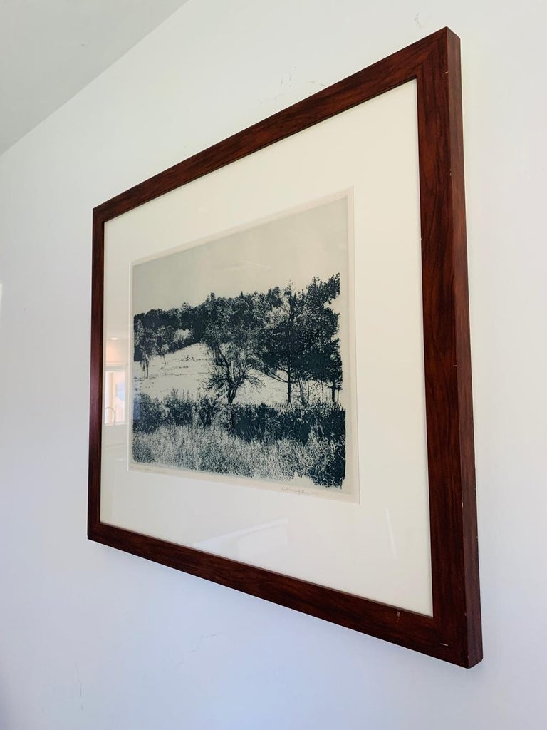 Herbert Fink, "Annies Garden, Etching" on Paper, 1979 at 1stDibs