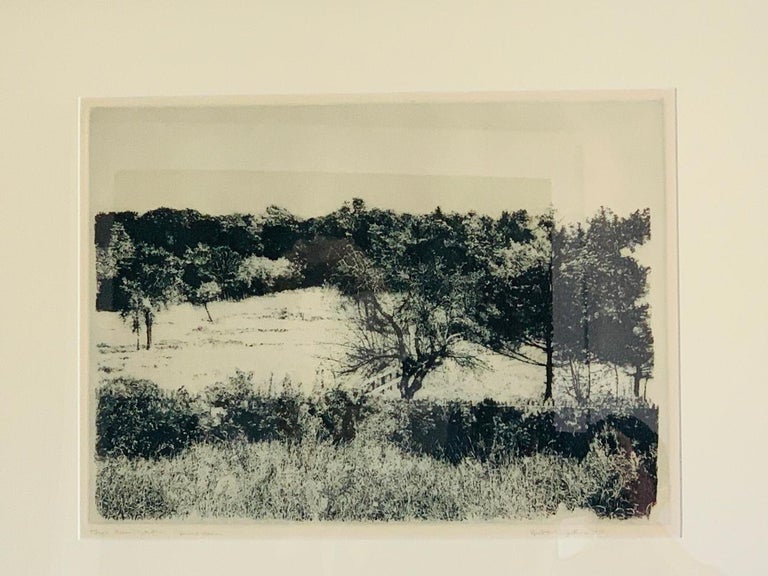 Herbert Fink, "Annies Garden, Etching" on Paper, 1979 at 1stDibs
