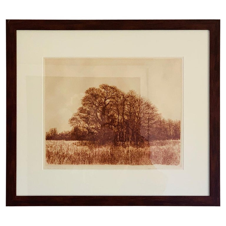 Herbert Fink, Oaks and Hideaways, Etching on Paper, 1979 at 1stDibs