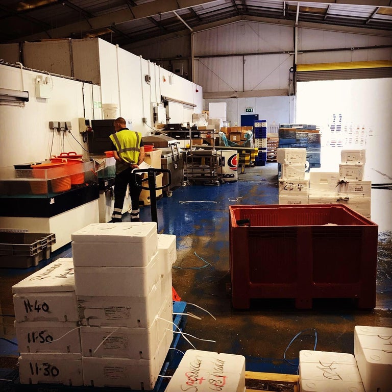 Hercules the Crab 'a Life-Sized Crab, Drawn and Released by Tom Rooth ...