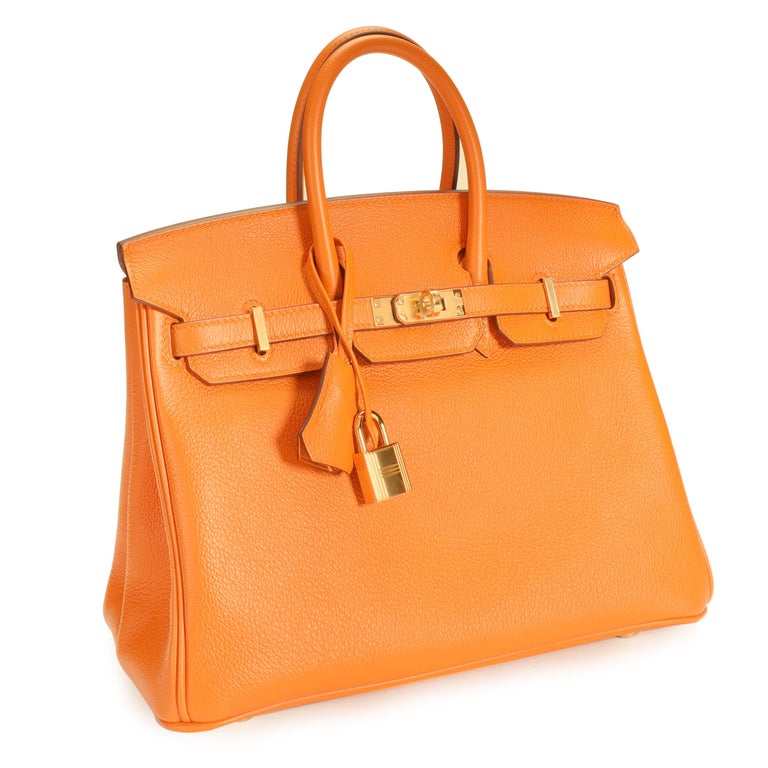 Hermès Abricot Novillo Leather Birkin 25 with Gold Hardware For Sale at ...