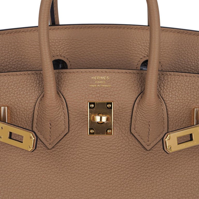 Hermes Birkin 25 Bag Chai Gold Hardware Togo Leather For Sale at 1stDibs