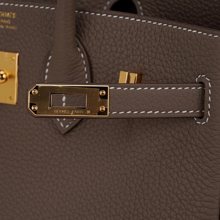 Hermes Birkin 25 Bag Etoupe Togo Gold Hardware Neutral Perfection For Sale at 1stDibs