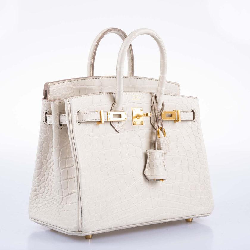 Hermès Birkin 25 Beton Matte Alligator Gold Hardware Bag For Sale at ...