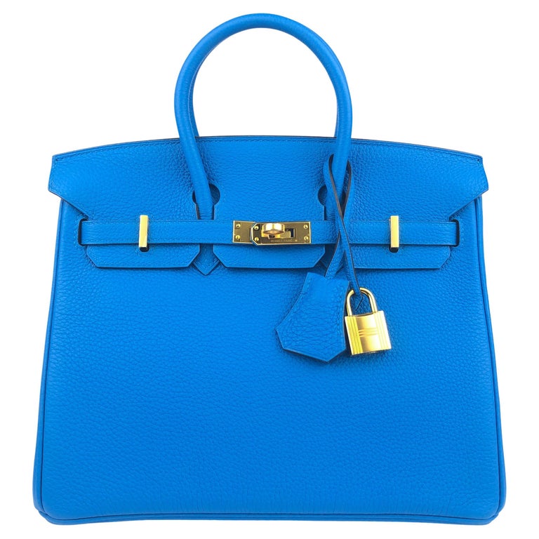 Hermes Birkin 25 Blue Zanzibar Togo Leather Handbag Bag Gold Hardware ...