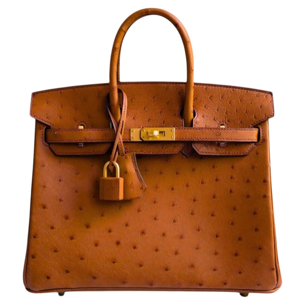 Hermès Birkin 25 Cognac Ostrich Leather Gold Hardware G Stamp 2026 For ...