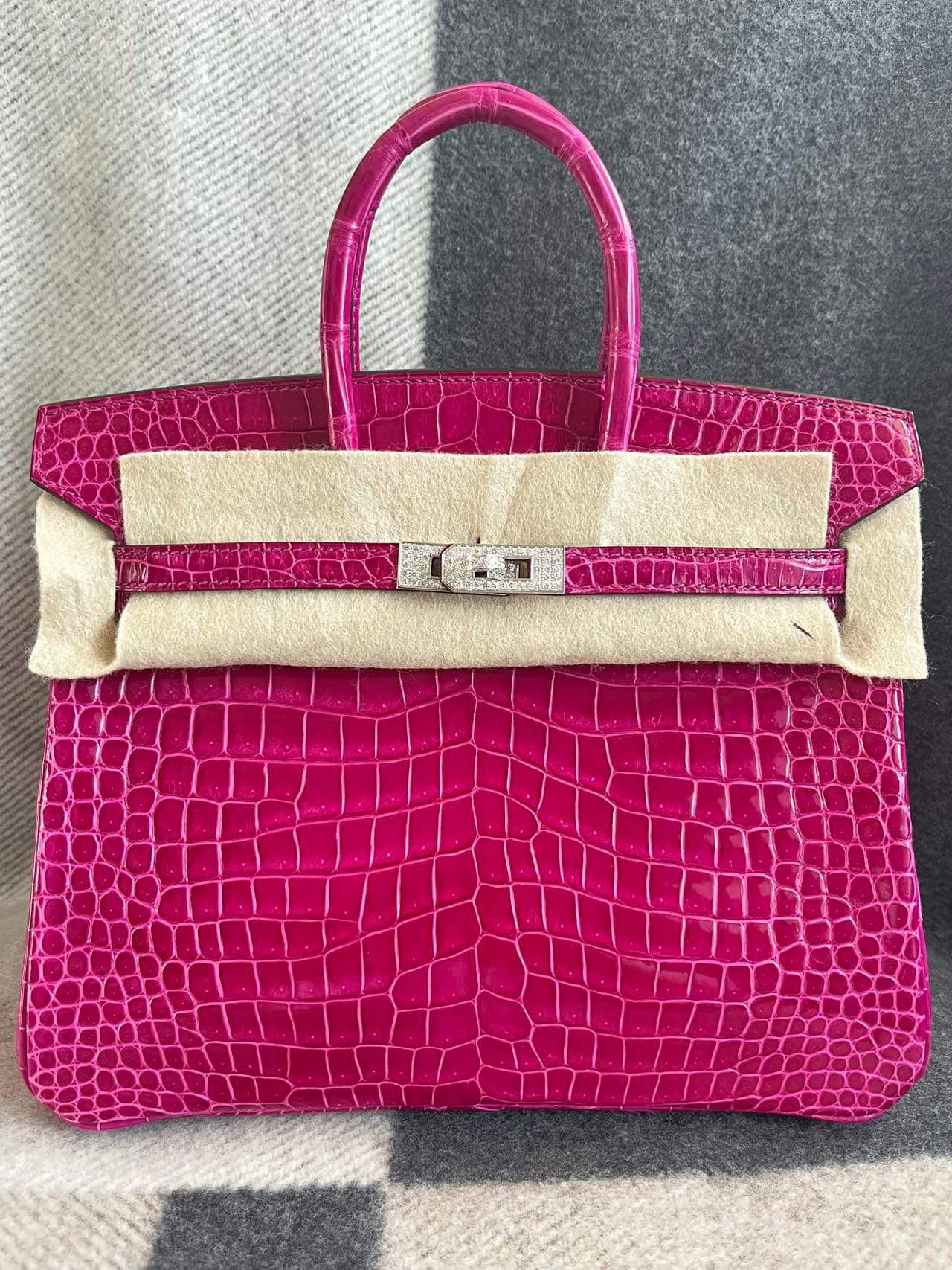Hermes Birkin 25 Crocodile Porosus 18K white gold with diamonds bag For ...