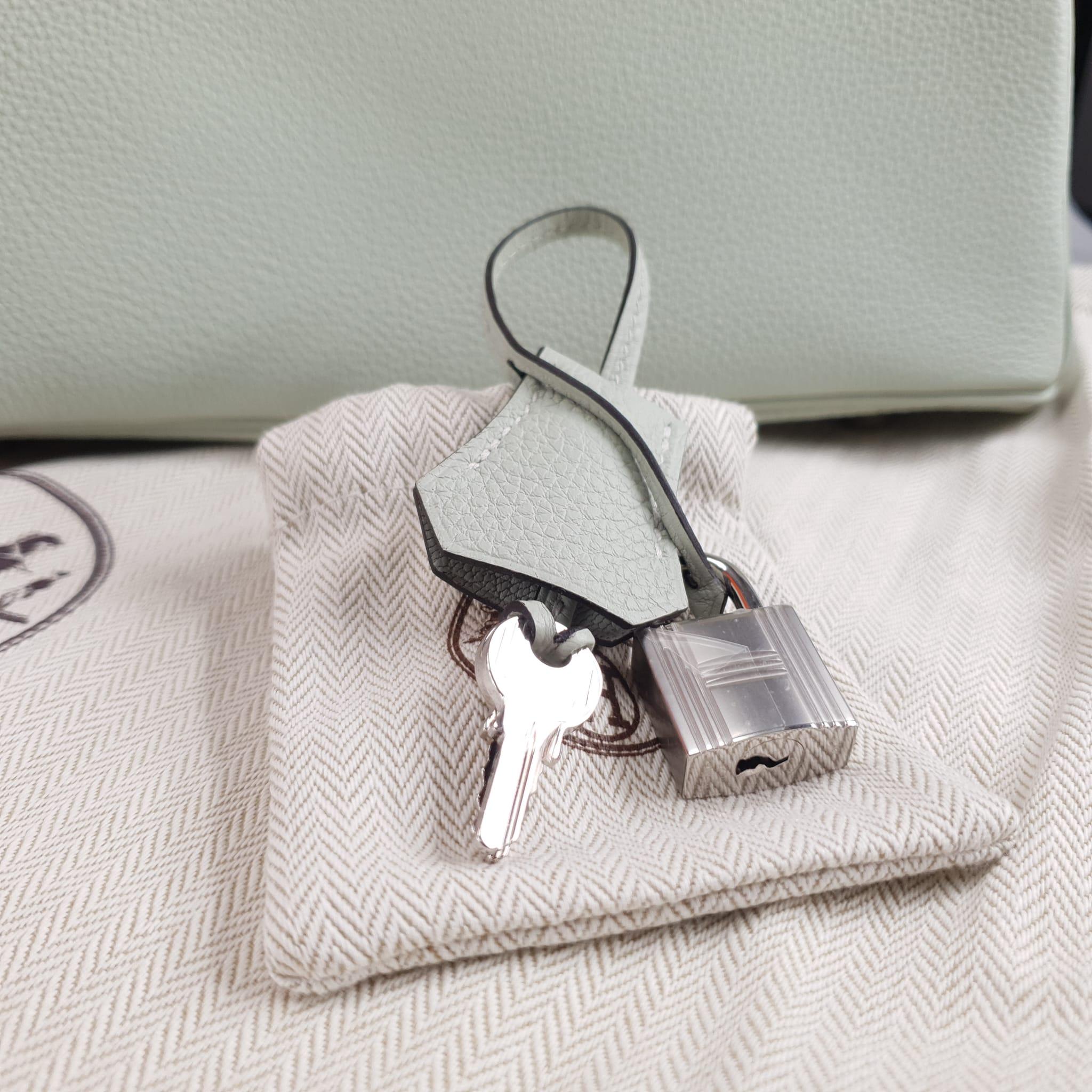 Hermes Birkin 25 Togo Gris Neve Phw For Sale at 1stDibs