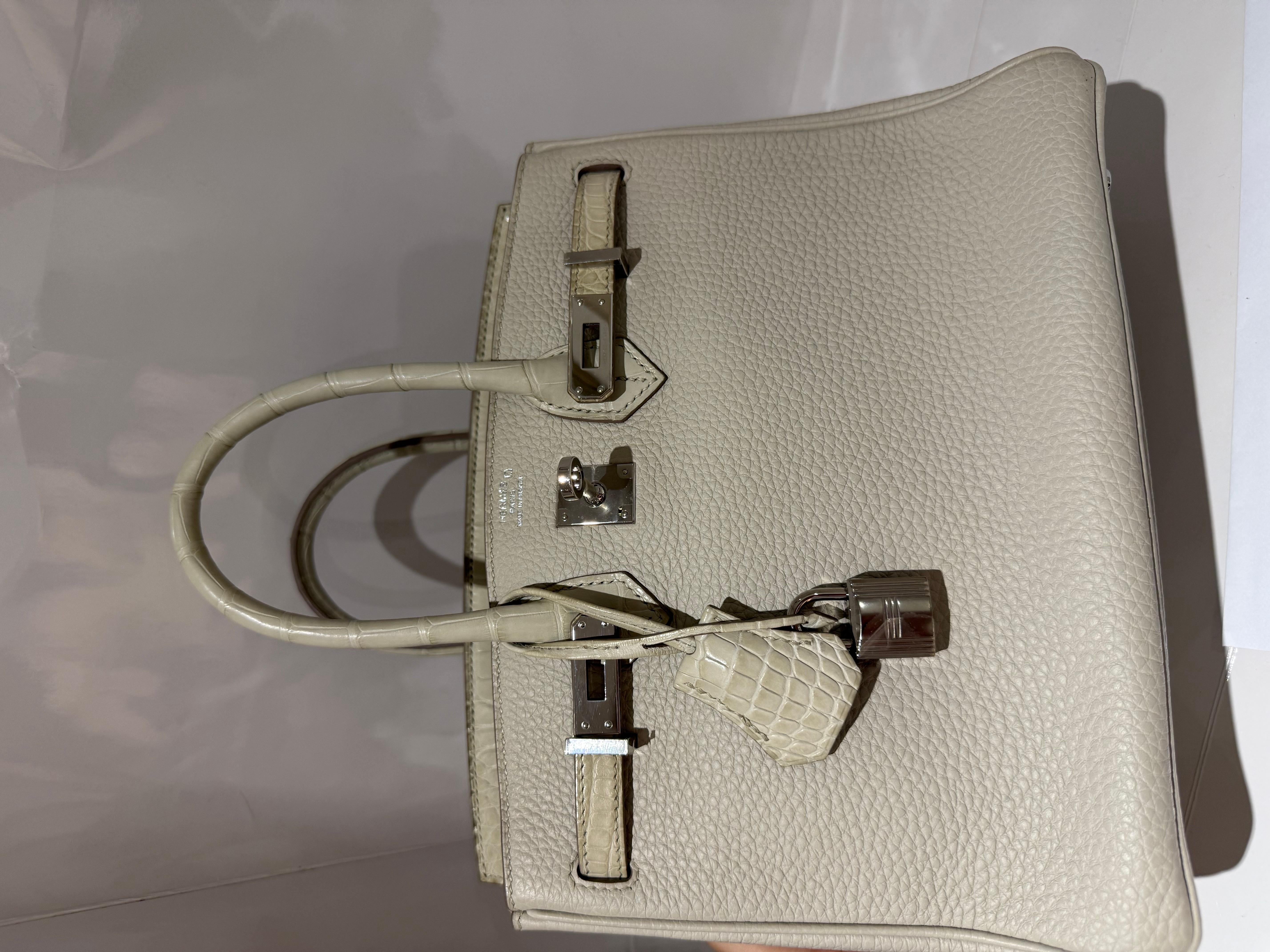 Hermes Birkin 25 Touch Beton Togo Matte Alligator Palladium hardware For Sale at 1stDibs