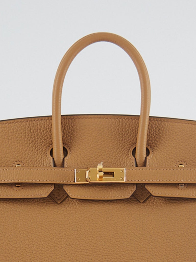HERMÈS BIRKIN 25CM BISCUIT Togo Leather with Gold Hardware For Sale at 1stDibs