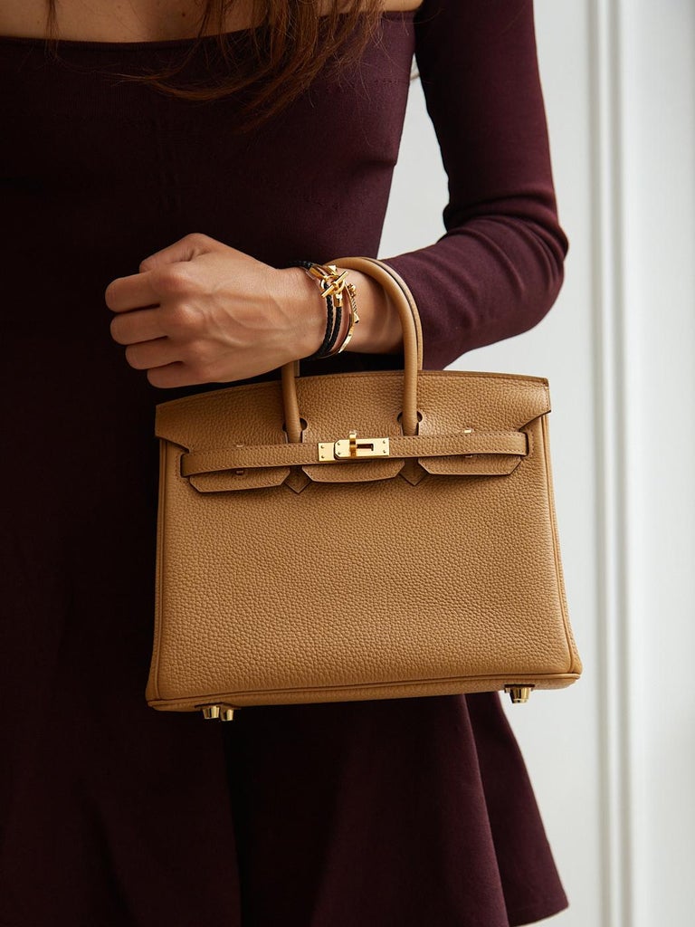HERMÈS BIRKIN 25CM BISCUIT Togo Leather with Gold Hardware For Sale at ...