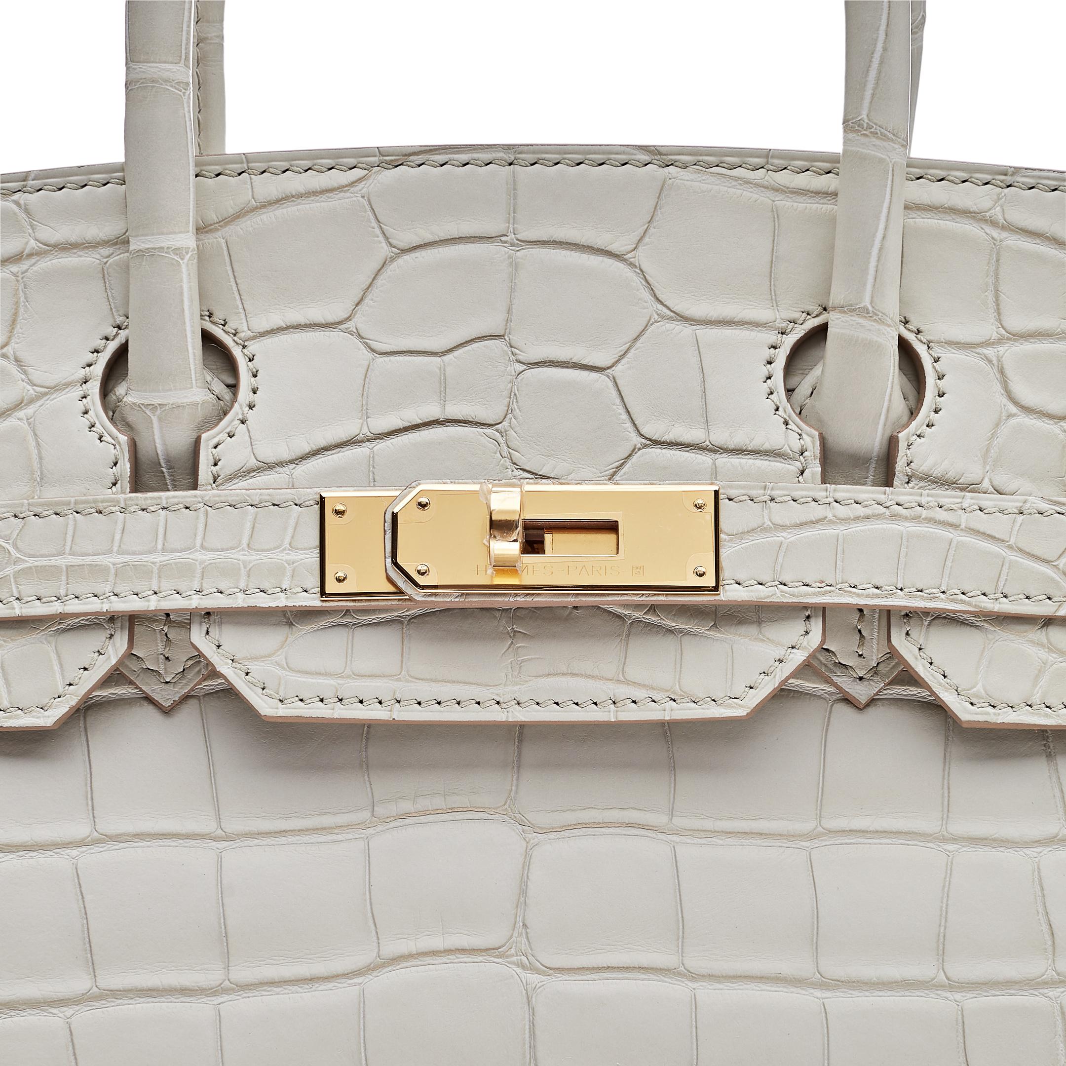 Hermes Birkin 30 Beton Matte Alligator Mississippiensis Gold Hardware ...