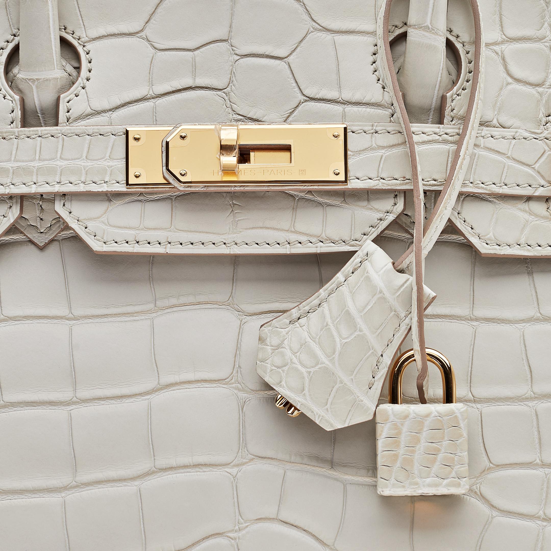 Hermes Birkin 30 Beton Matte Alligator Mississippiensis Gold Hardware ...
