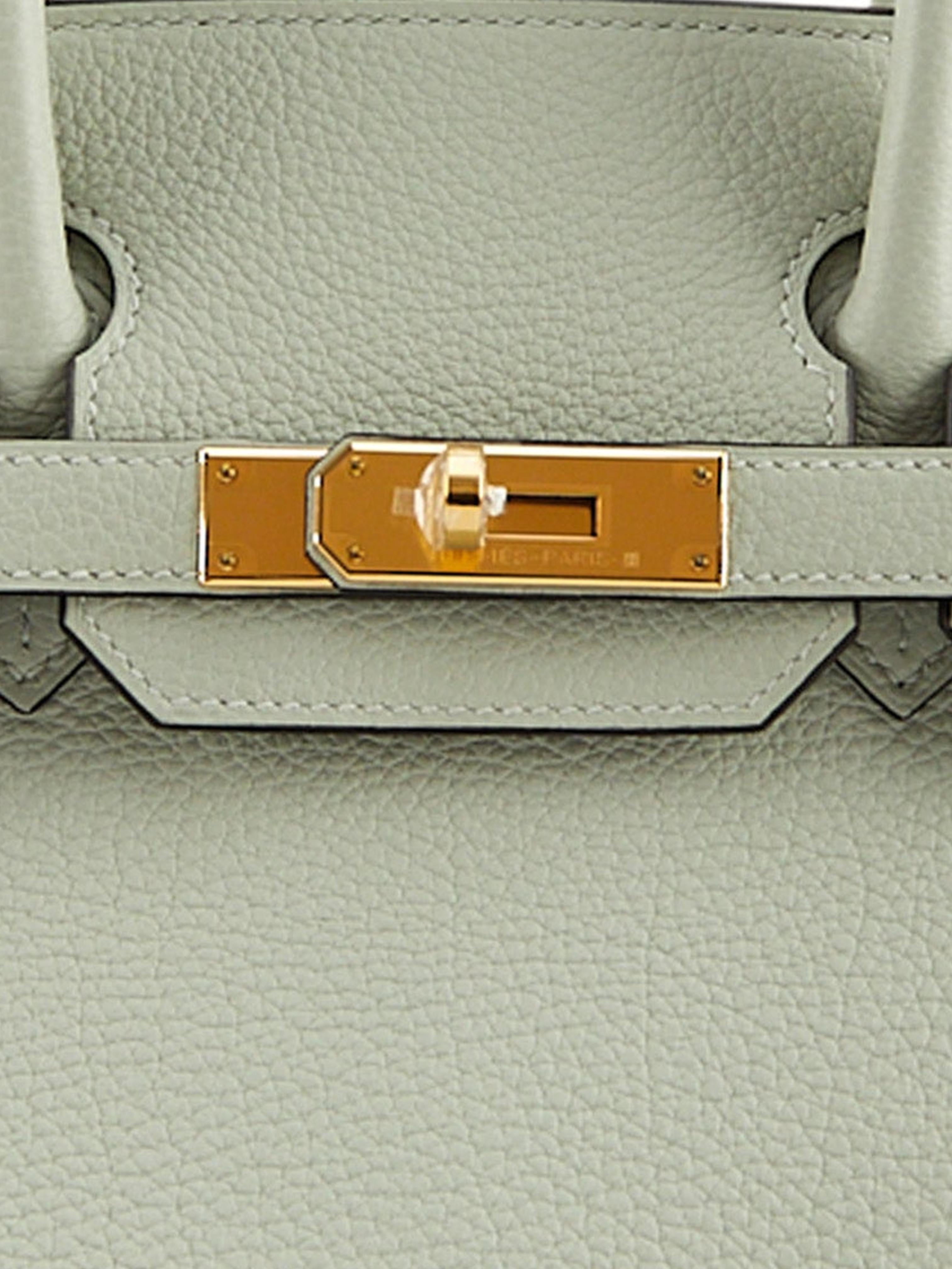 HERMÈS BIRKIN 30CM GRIS NEVE Togo Leather with Gold Hardware For Sale ...