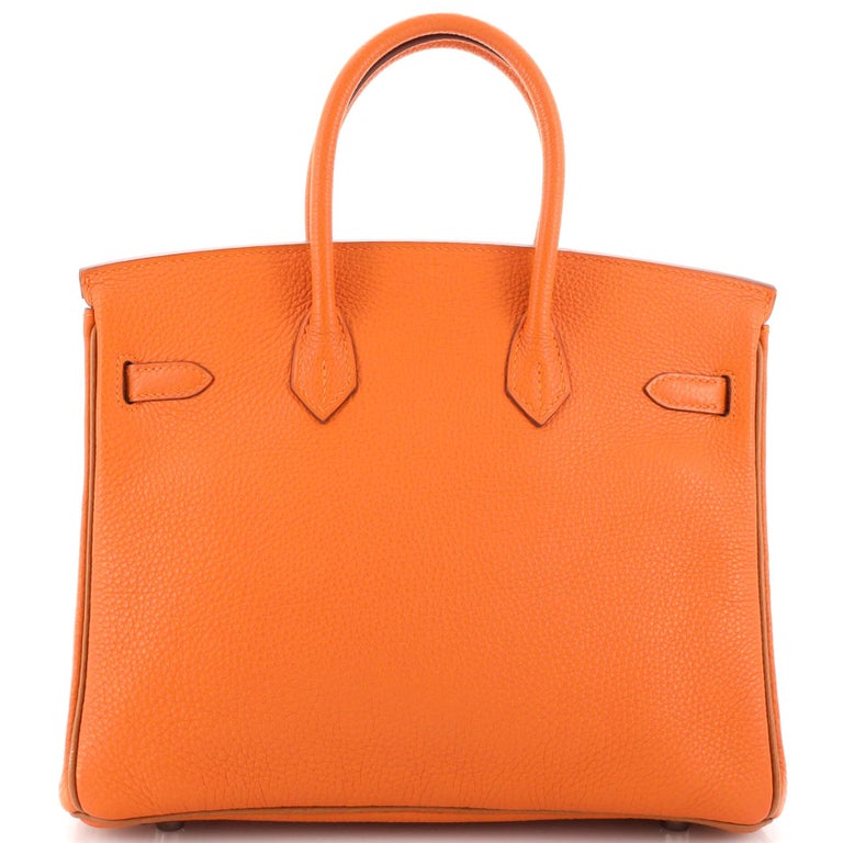 Hermes Birkin Handbag Bicolor Togo with Ruthenium Hardware 25 For Sale ...