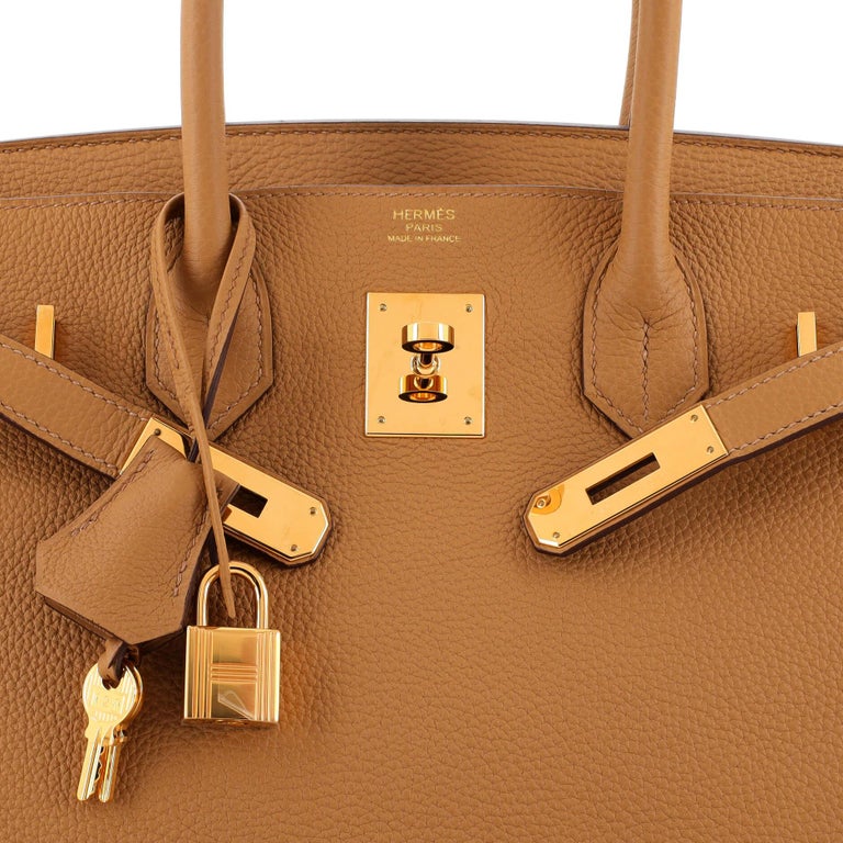 Hermes Birkin Handbag Biscuit Togo with Gold Hardware 30 For Sale at ...
