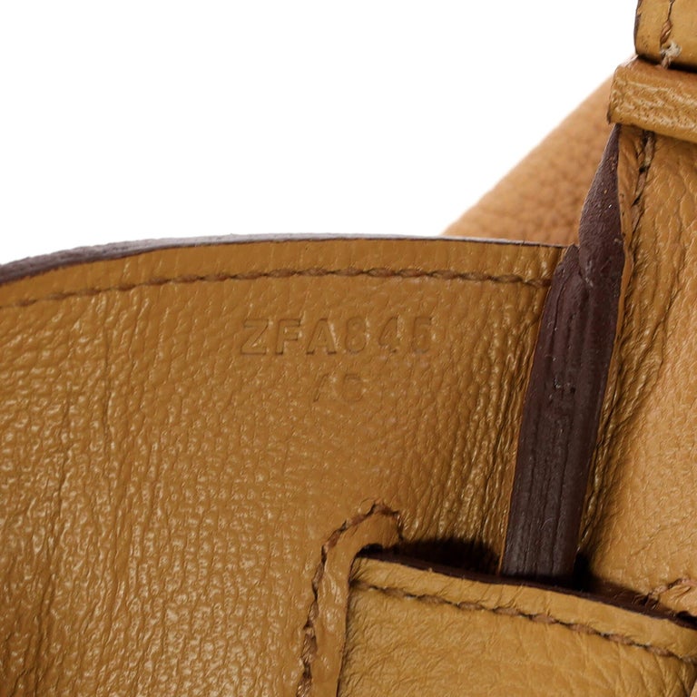 Hermes Birkin Handbag Biscuit Togo with Gold Hardware 30 For Sale at ...