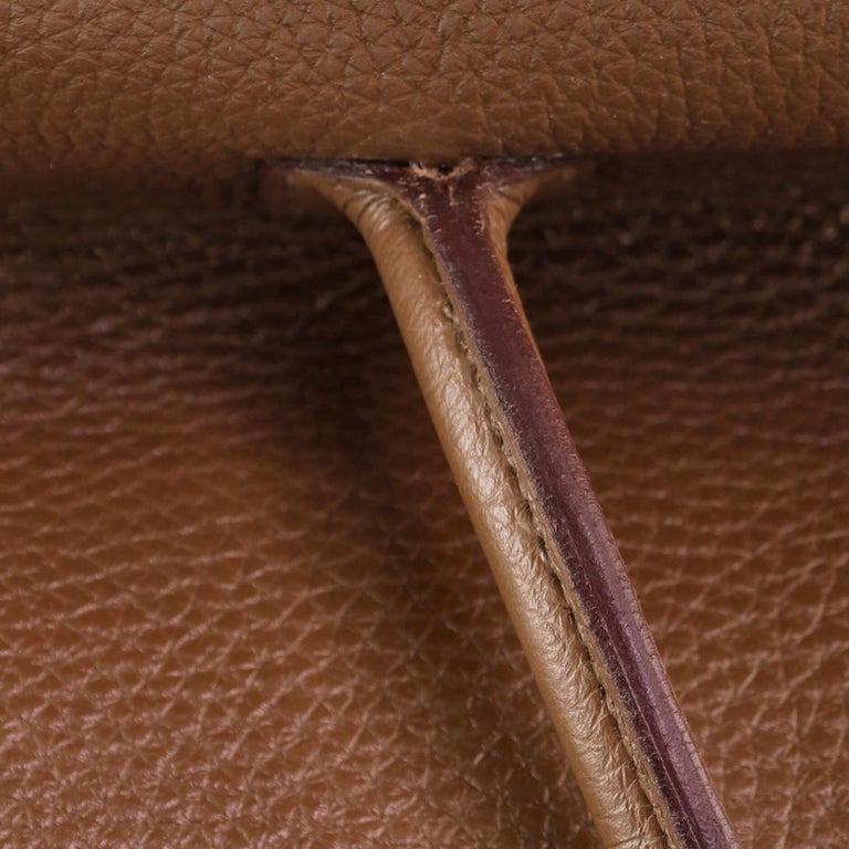 Hermes Birkin Handbag Biscuit Togo with Gold Hardware 40 For Sale at ...