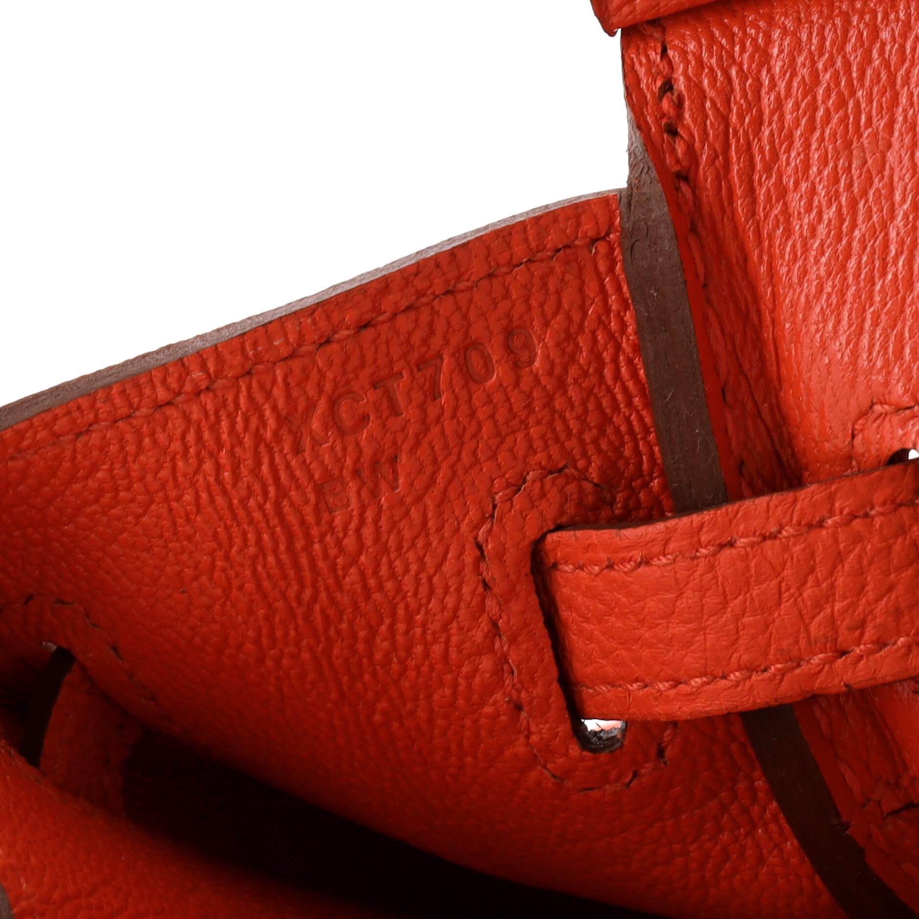 Hermes Birkin Handbag Capucine Togo with Gold Hardware 25 For Sale at ...