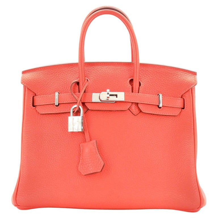Hermes Birkin Handbag Capucine Togo with Palladium Hardware 25 at 1stDibs