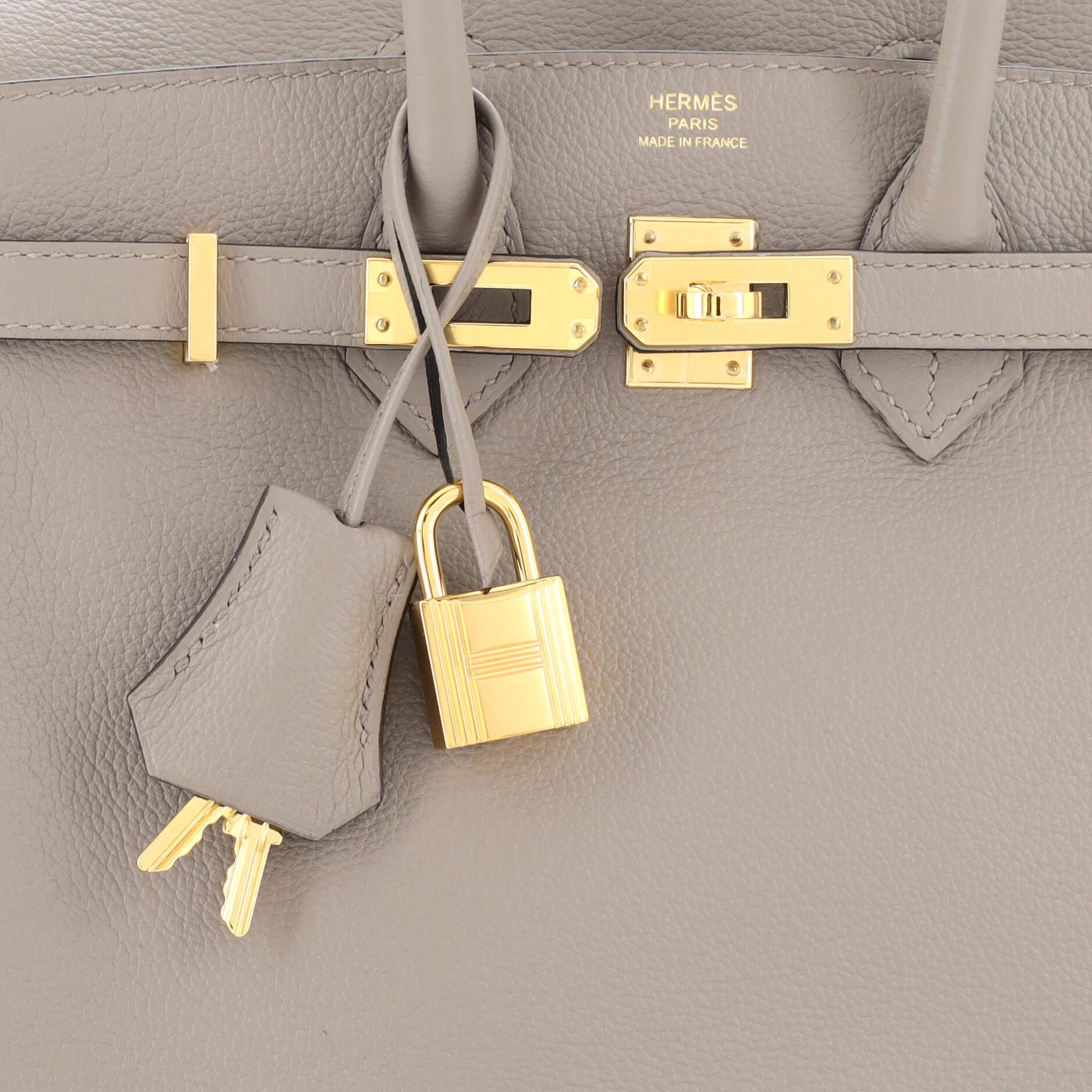 Hermes Birkin Handbag Grey Novillo with Gold Hardware 25 For Sale at ...