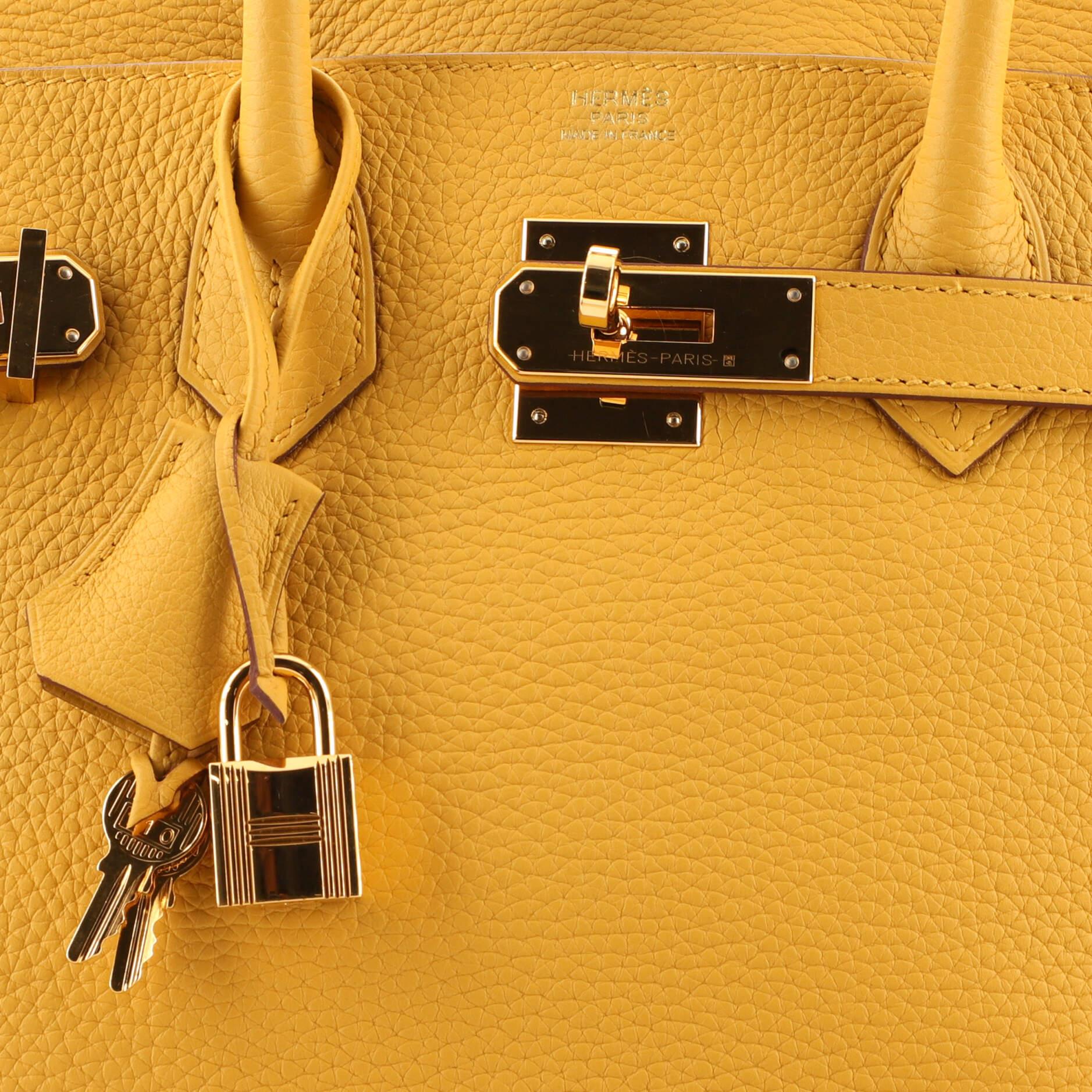 Hermes Birkin Handbag Jaune Ambre Clemence with Gold Hardware 30 For ...