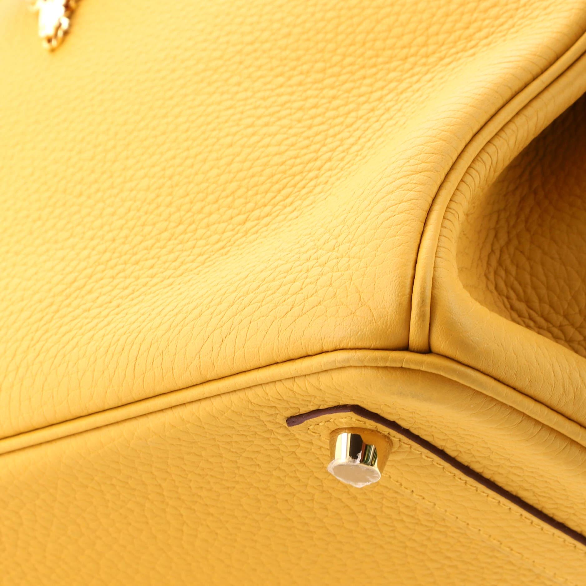 Hermes Birkin Handbag Jaune Ambre Clemence with Gold Hardware 30 For ...