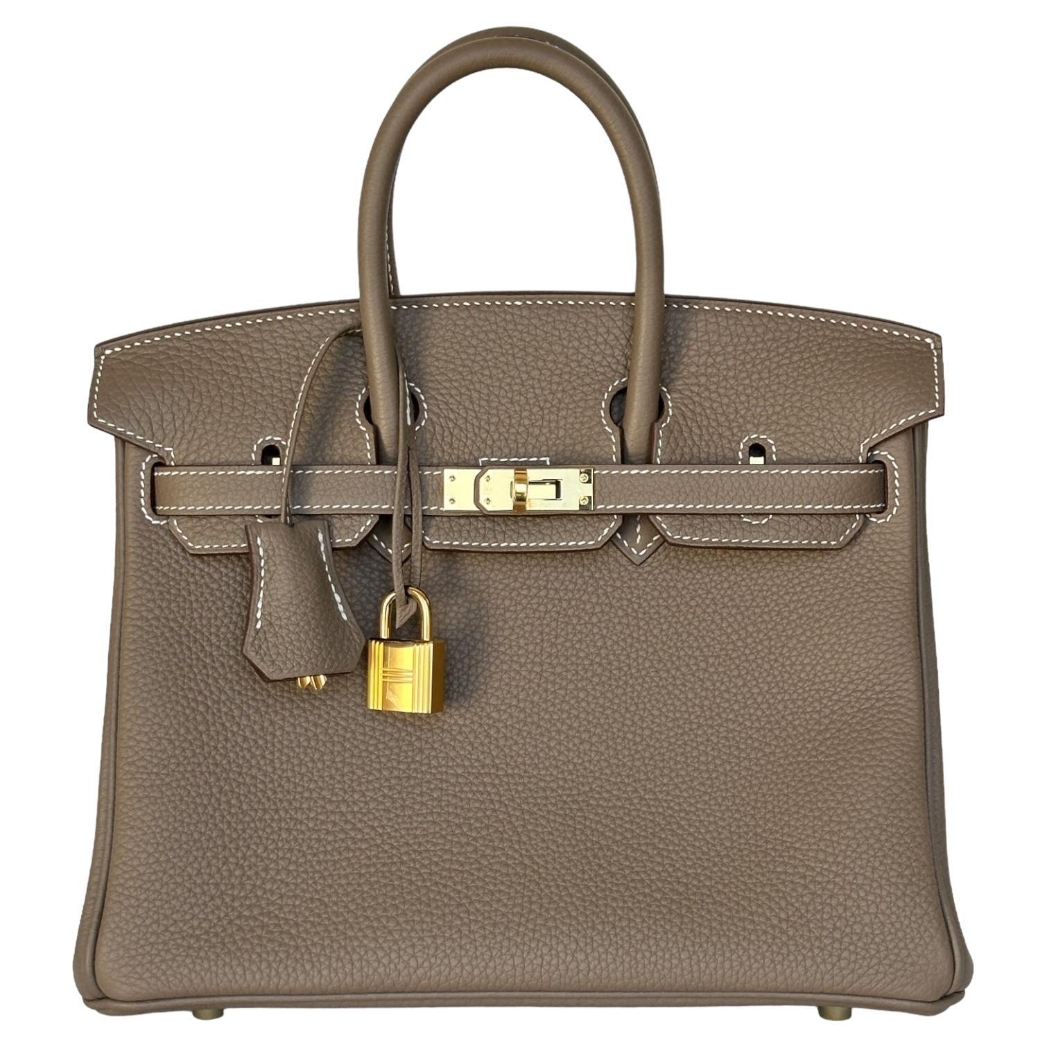 Hermes Birkin 25 Ultra Rare Metallic Silver Chevre Palladium Hardware ...
