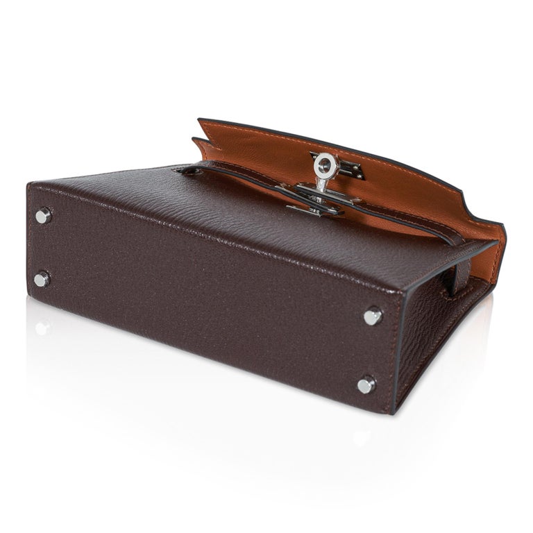 Hermes Kelly 20 Bi-Color Sellier Bag Havane / Etrusque Chevre Palladium ...