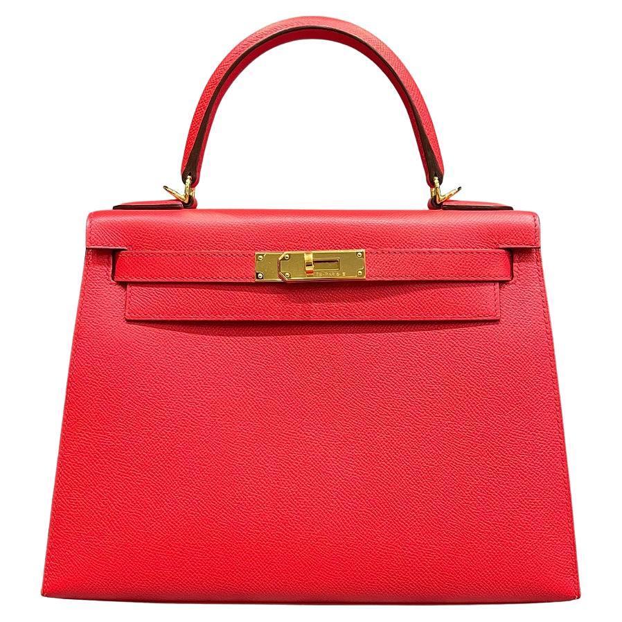 Hermes Birkin 25 Ultra Rare Metallic Silver Chevre Palladium Hardware ...