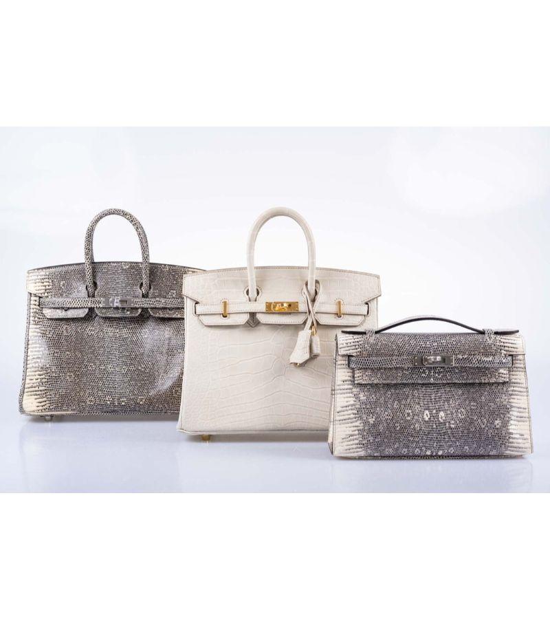 Hermès Kelly Pochette Rare Ombré Lizard with Palladium Hardware For ...