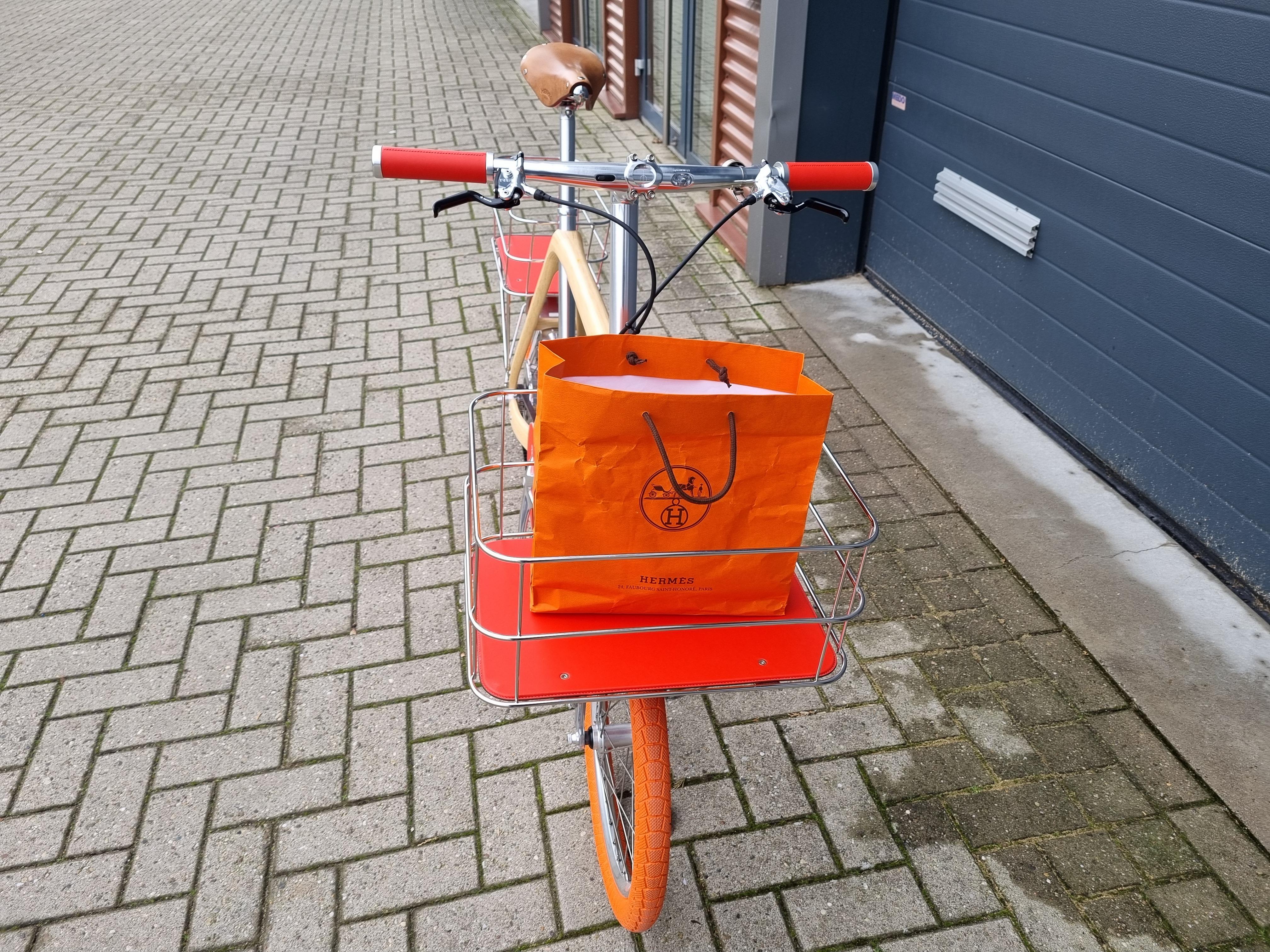Hermes Odyssee Terre Compact Carrier Bike, Pedal, with Baskets For Sale at 1stDibs | hermes bike ...