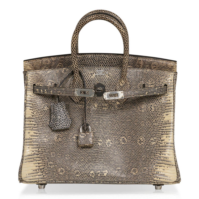 Hermes Birkin 25 Bag Ombre Lizard Palladium Hardware at 1stDibs | ombre ...