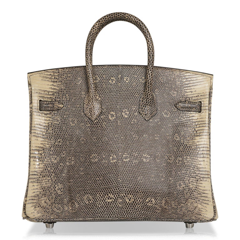 Hermes Birkin 25 Bag Ombre Lizard Palladium Hardware at 1stDibs | ombre ...