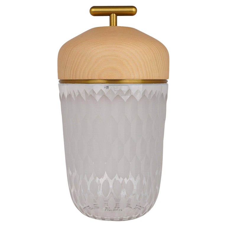 Hermes Saint Louis Folia Portable Lamp Crystal / Ash Wood Limited ...