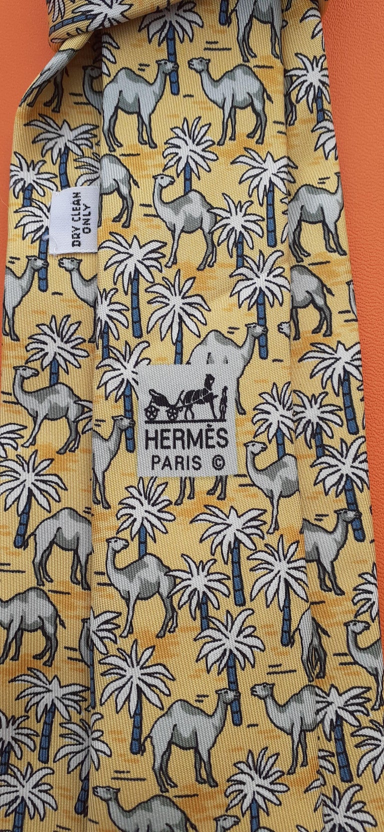 Hermès Silt Tie Camels Print Oasis Africa Theme For Sale at 1stDibs