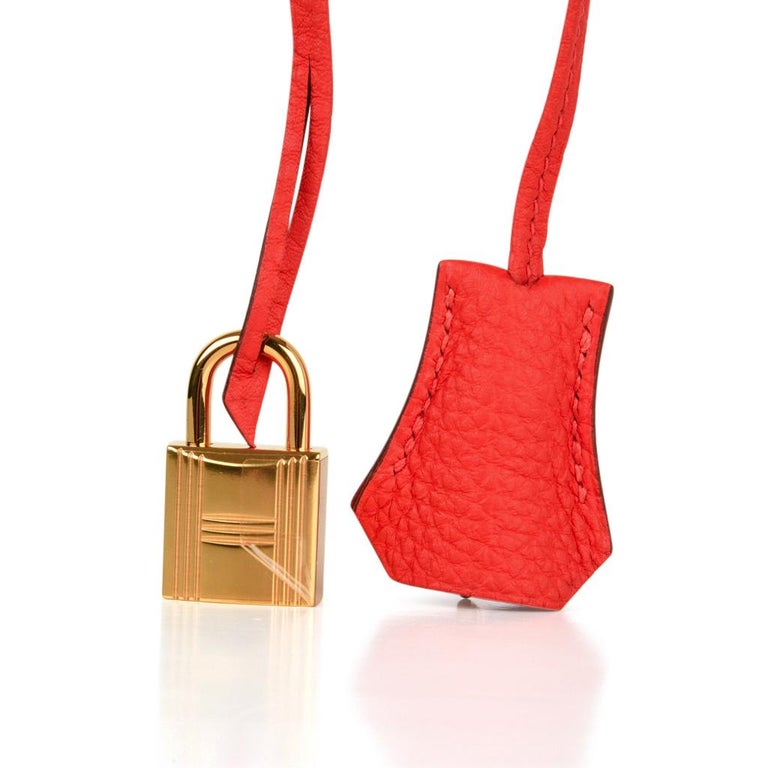 Hermes Vivid Capucine Red Togo Gold Hardware Birkin 35 Bag For Sale at ...