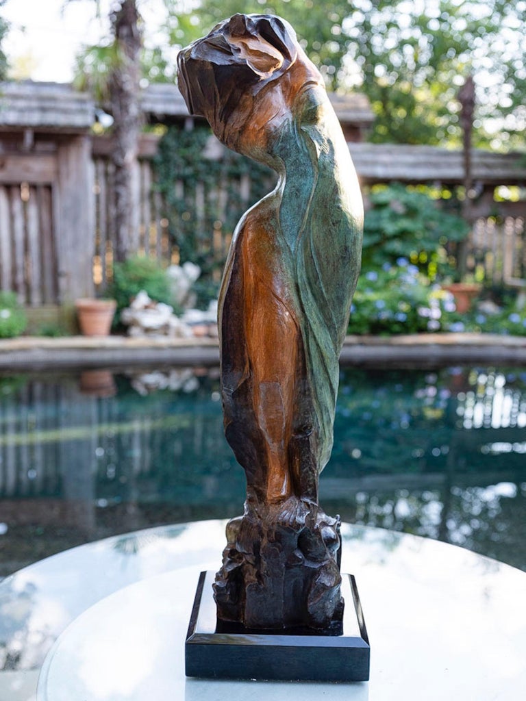 Hessam Abrishami - Revelation For Sale at 1stDibs