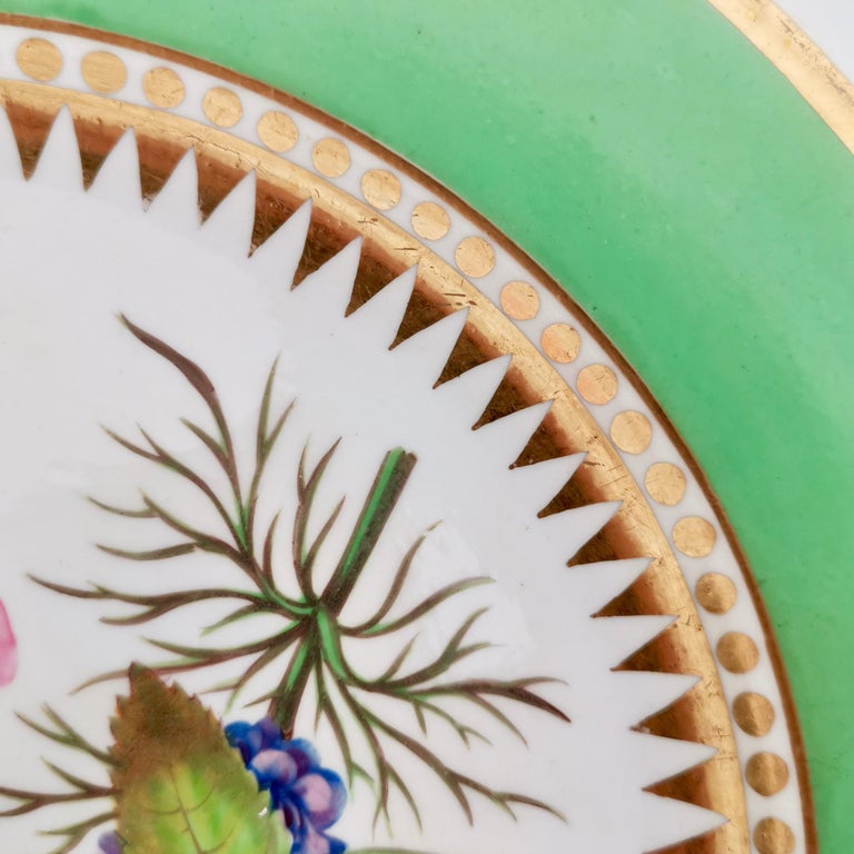 Hicks and Meigh Porcelain Plate, Green with Hand Painted Rose, Regency ...