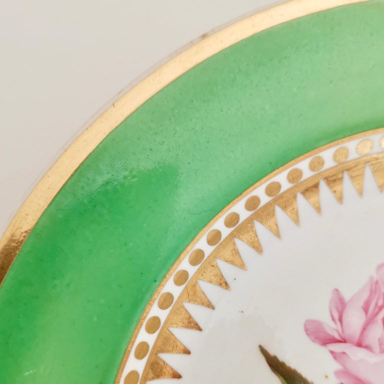 Hicks and Meigh Porcelain Plate, Green with Hand Painted Rose, Regency ...